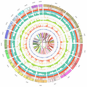 Research | Michael Lab - Salk Institute for Biological Studies